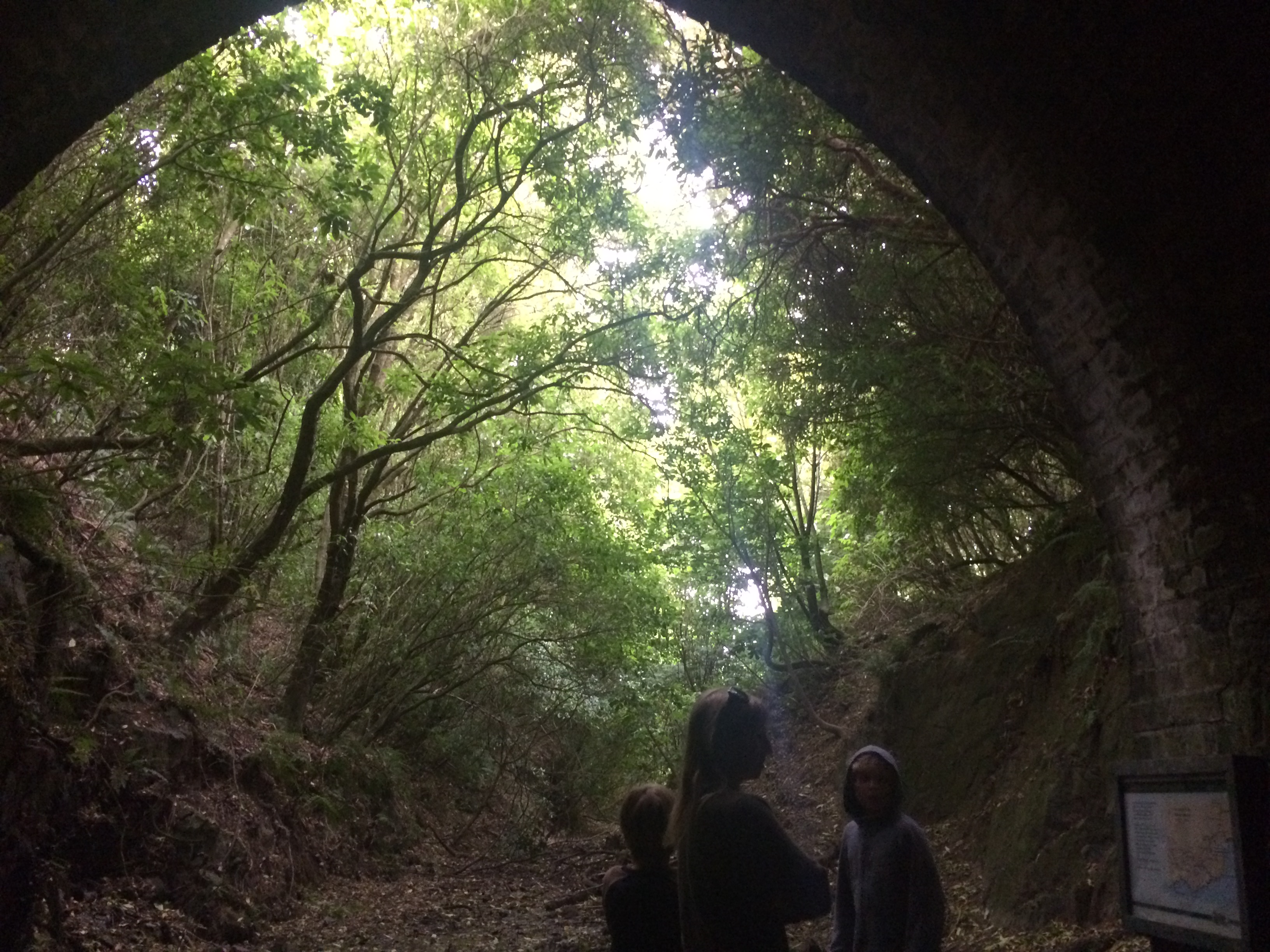 The 1 000 Hectares A Story Of Legacy Goggles On The 1 000 Hectares A Story Of Legacy Goggles On